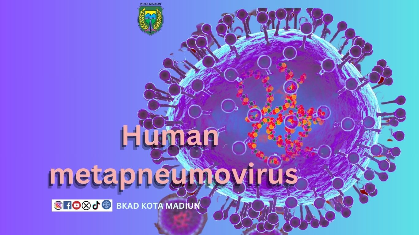Human metapneumo virus apa itu? – Badan Keuangan dan Aset Daerah Kota ...